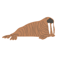 Walrus Animal Illustration Sticker