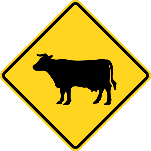 Vibrant, High-Quality Warning Cows Stickers