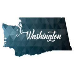 Washington State Map Geometric Polygon Lettering Sticker