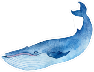 Whale Car Stickers & Decals – Killer Whales, Blue Whales & More