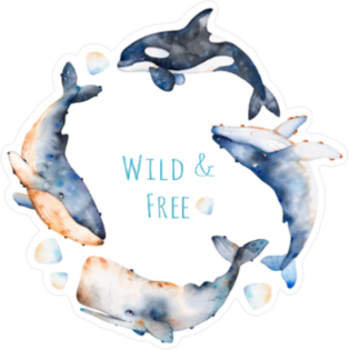Whale Car Stickers & Decals – Killer Whales, Blue Whales & More