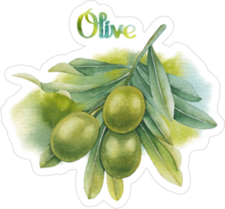 Watercolor Green Olive Sticker