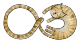 Watercolor Illustration Of Cat Shaped Infinity Sign Sticker