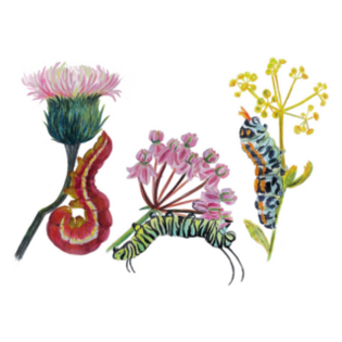 Caterpillar Stickers & Decals | Caterpillar Window Stickers