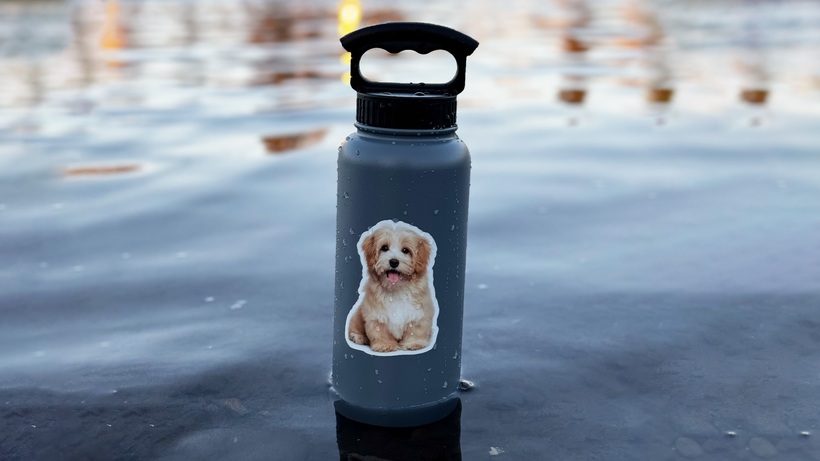 5 Easy Steps to Apply Stickers Like a Pro | Sticker Application Tips