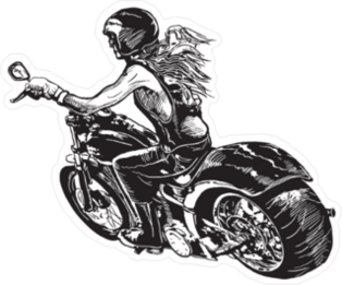 Motorcycle Stickers and Decals | Free Shipping