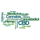 Word Cloud Cbd Marijuana Sticker