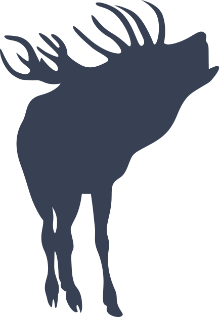 Order Your Yelling Moose Sticker Today - Free Shipping!