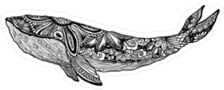 Whale Car Stickers & Decals – Killer Whales, Blue Whales & More