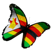 Zimbabwe Flag Butterfly Sticker
