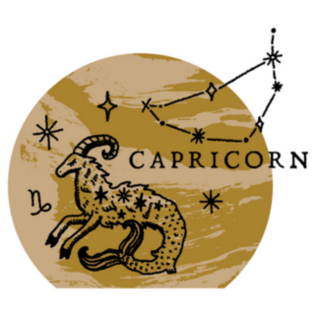 Capricorn Zodiac & Astrology Stickers & Car Decals