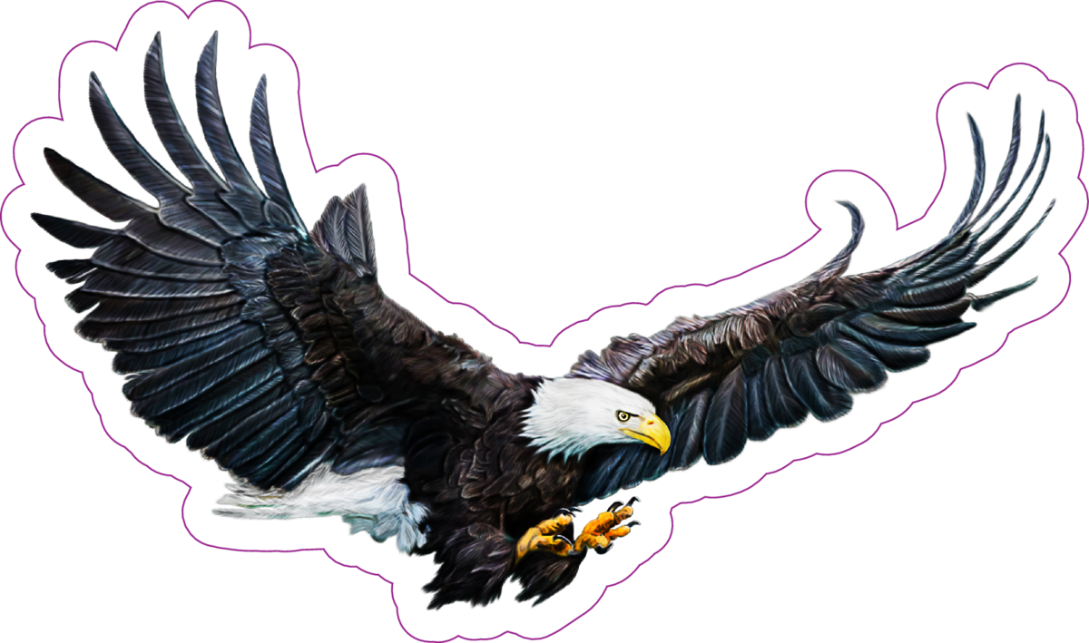 Bald Eagle Digital Painting Sticker