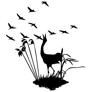 Crane Stickers & Decals – Over a Dozen Unique Designs