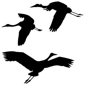 Crane Stickers & Decals – Over a Dozen Unique Designs