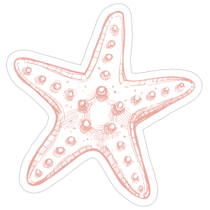 Starfish Stickers & Car Decals