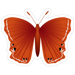 Beautiful Deep Red Butterfly Sticker