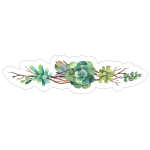 Beautiful Succulent Border Sticker