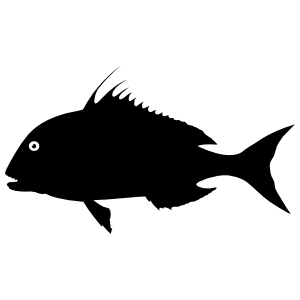 Blue Spotted Bream Fish Sticker