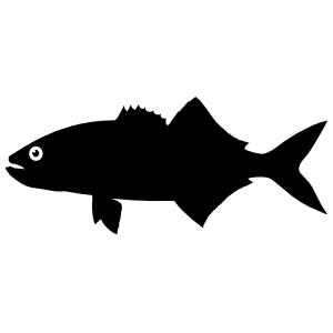 Bluefish Fish Sticker