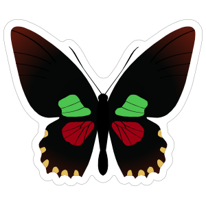 Cool Butterfly Sticker