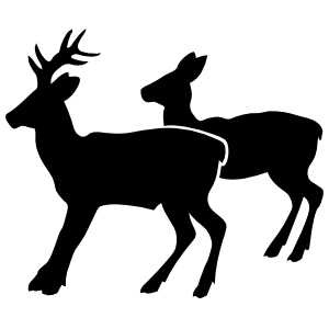 Scared Deer And Buck Sticker