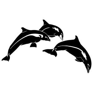 Three Dolphins Jumping Sticker