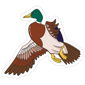 Duck Mascot Sticker