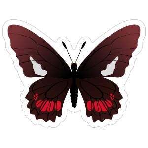 Maroon Butterfly Sticker