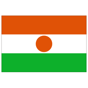 Niger Country Flag Sticker