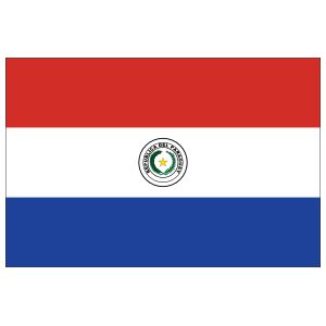 Paraguay Flag Sticker
