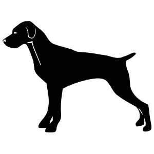 Detailed Pointer Dog Sticker