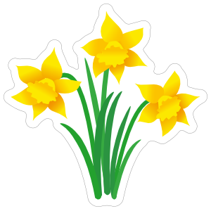 Pretty Daffodil Sticker