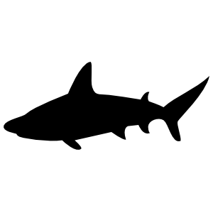 Shark Showing All Fins Sticker